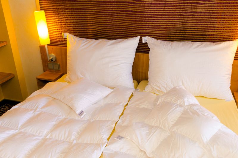 Clubbie Dodo | 27784000